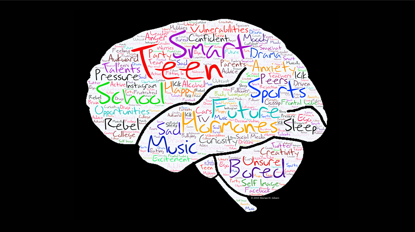 Rally | TEEN BRAIN DEVELOPMENT STUDY