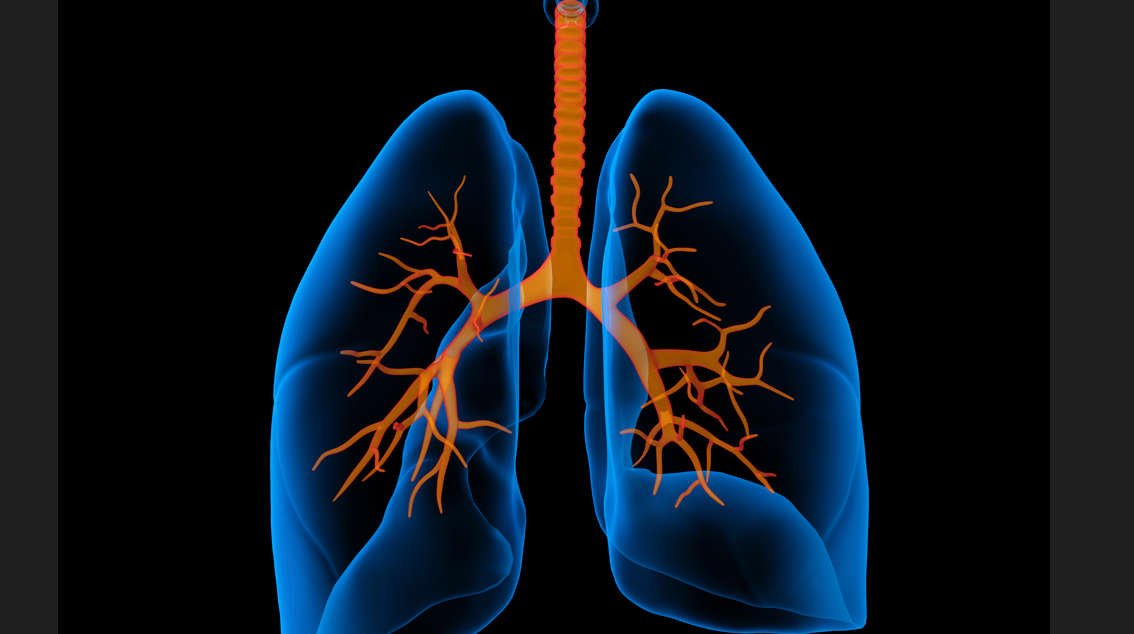 Rally | Seeking participants for a CT Scan Study