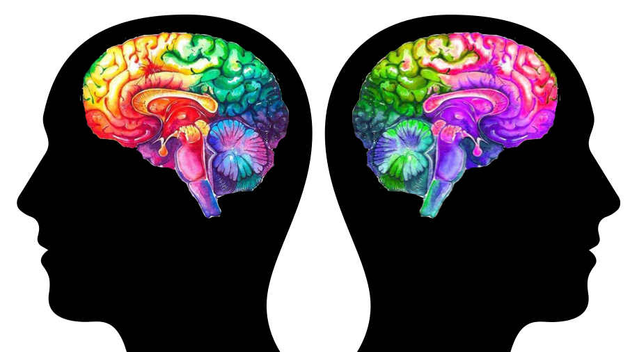 Rally | Looking for individuals with clinical depression and healthy ...