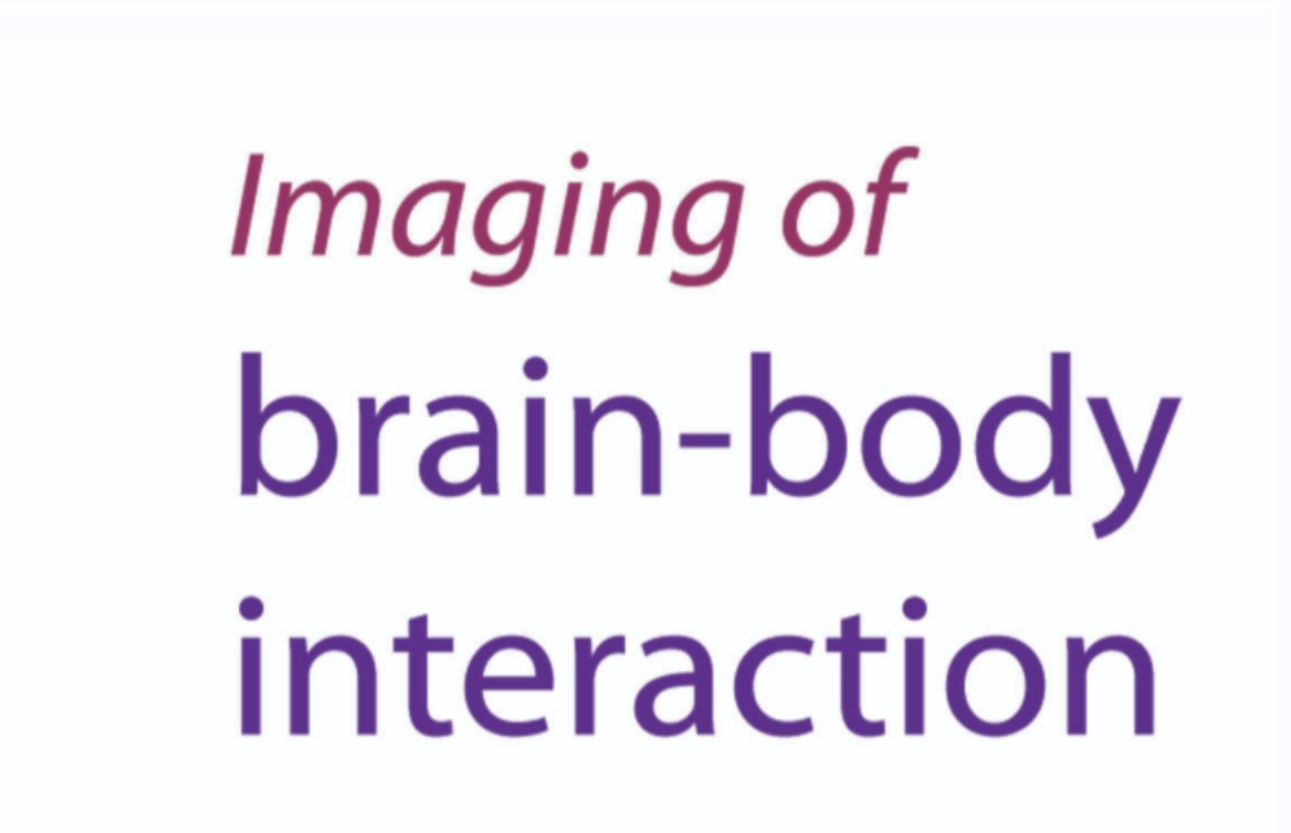 Rally | Imaging of brain-body interaction in adults